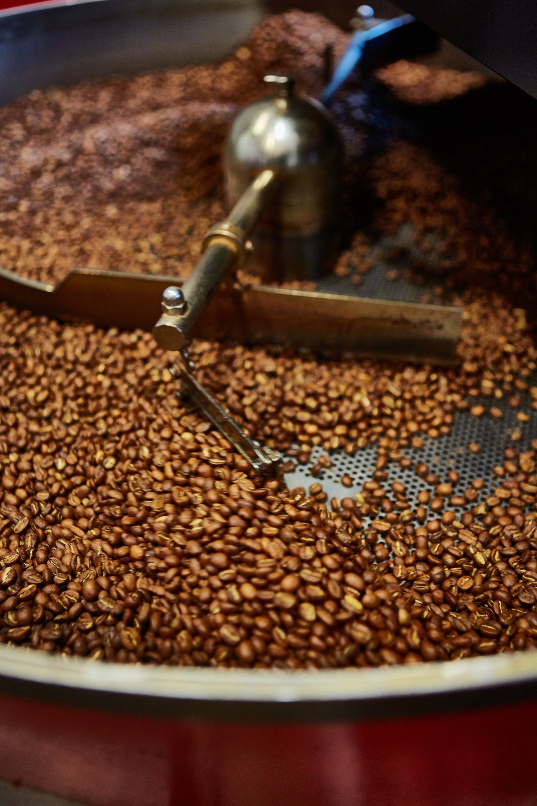 The Fresher Bean – Highland Coffee